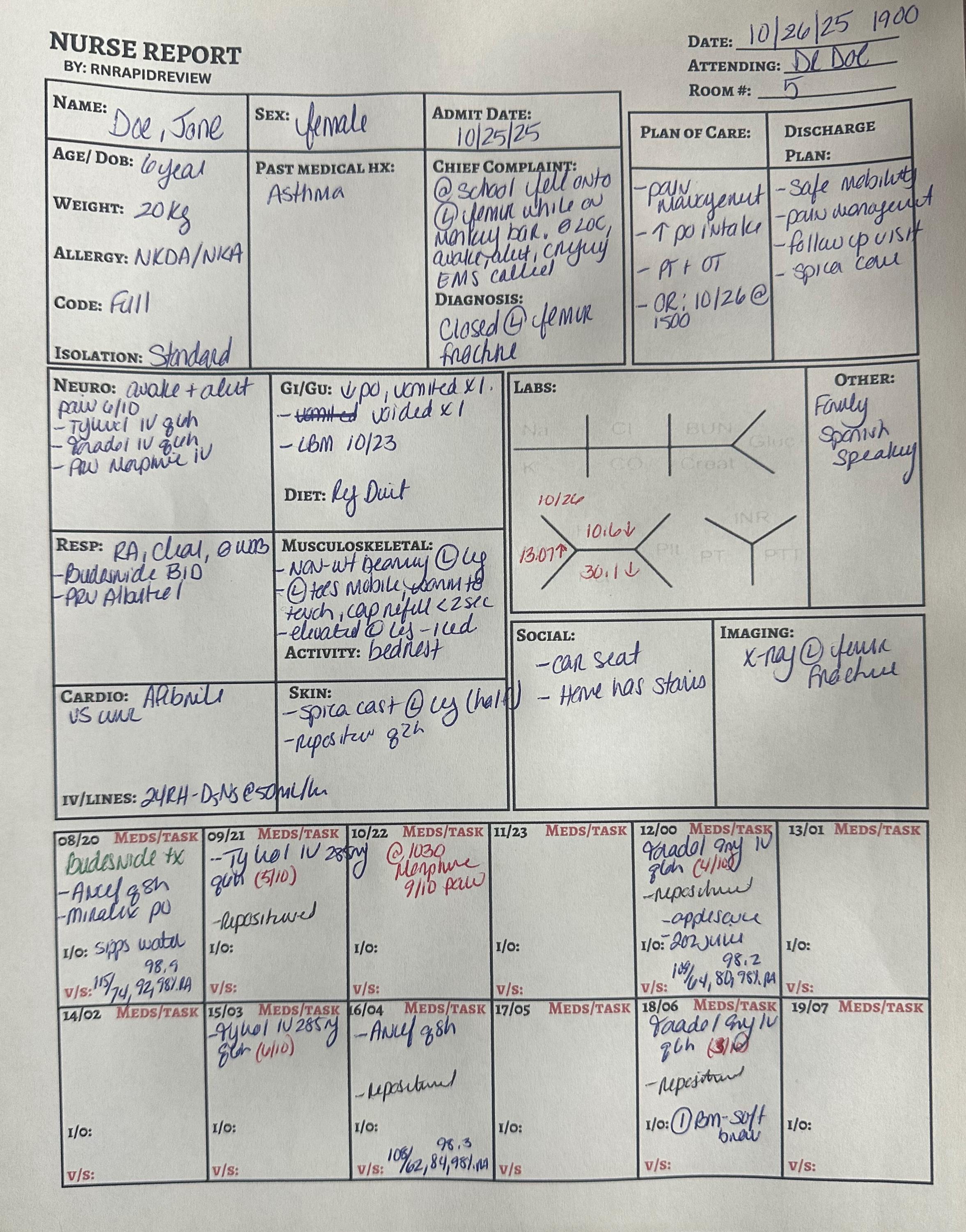 Nurse Report Sheet With Hourly Rounding: Printable RN Handoff Notes ...