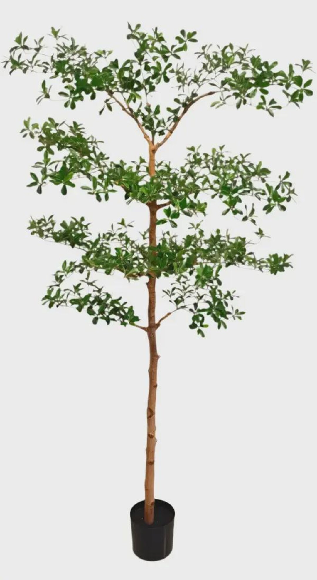 Faux Shady Lady Tree- 6' - Etsy