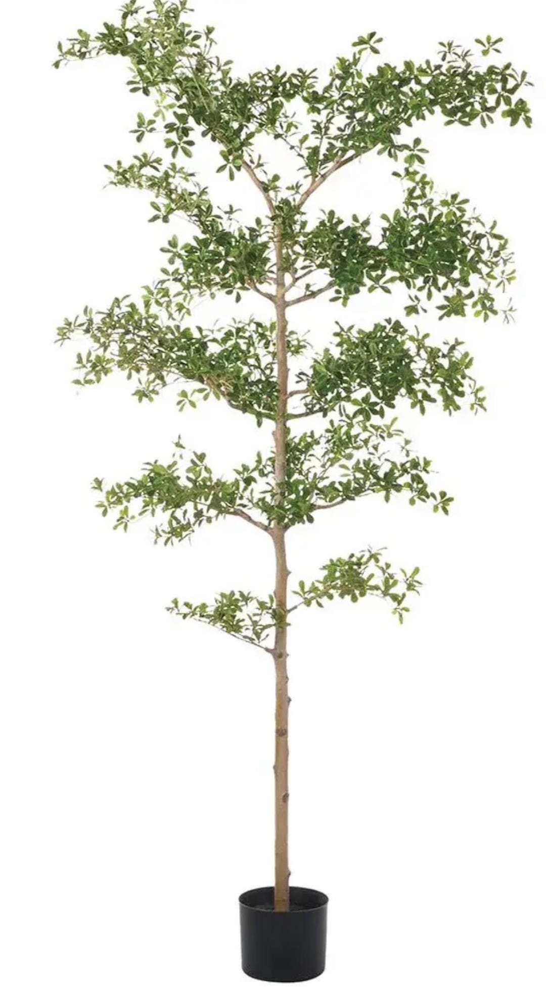 Faux Shady Lady Tree- 9' - Etsy