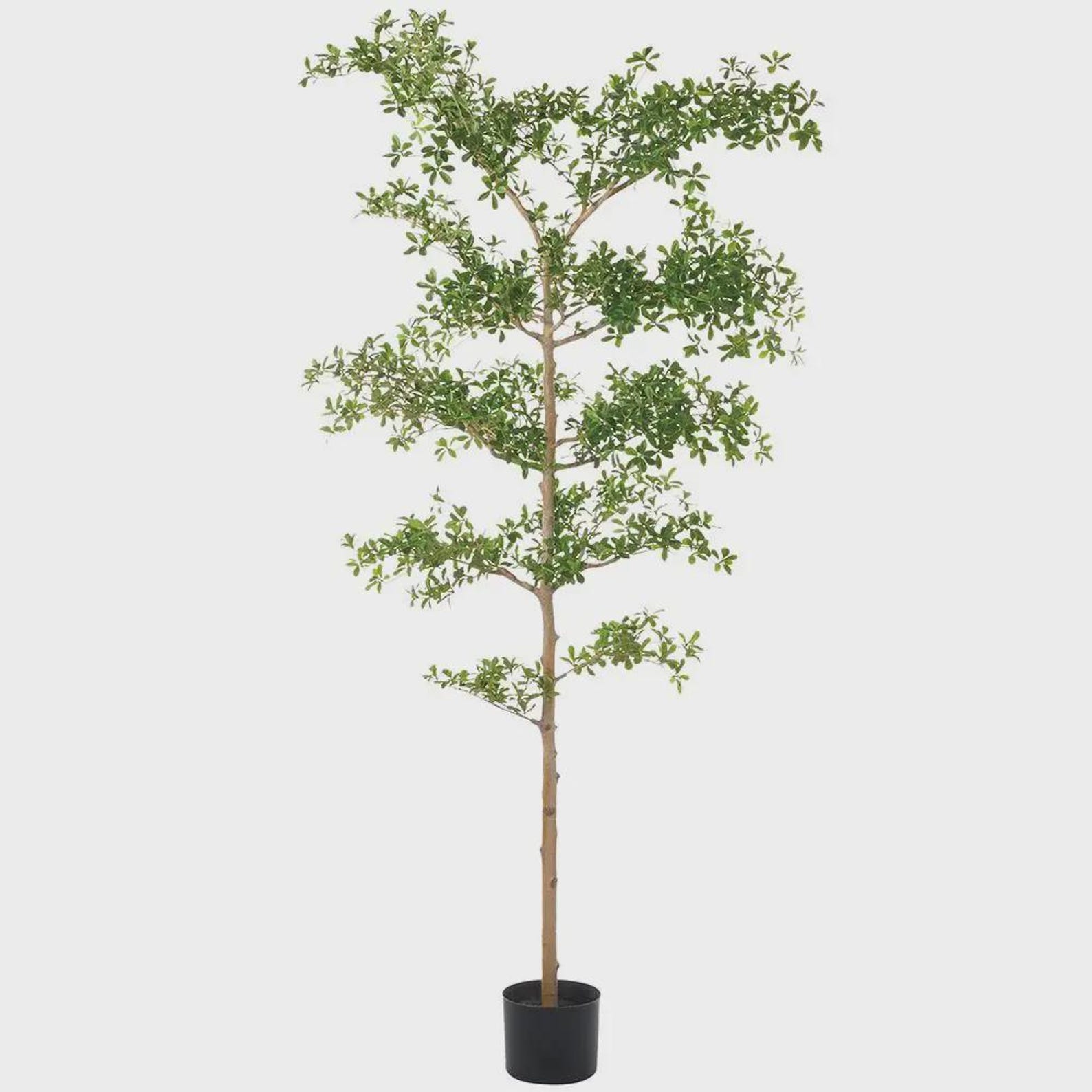Faux Shady Lady Tree- 8' - Etsy