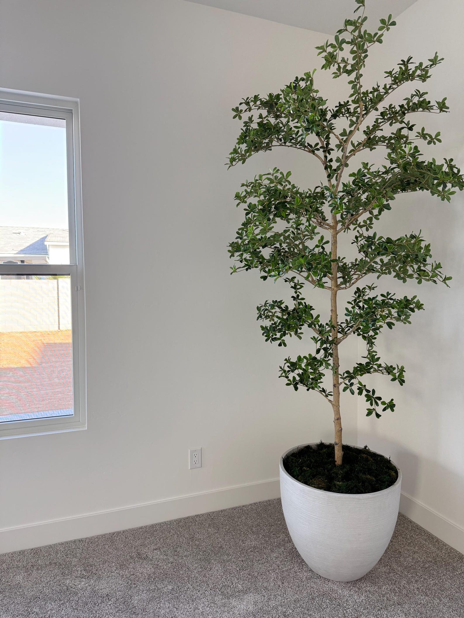 Faux Shady Lady Tree- 6' - Etsy