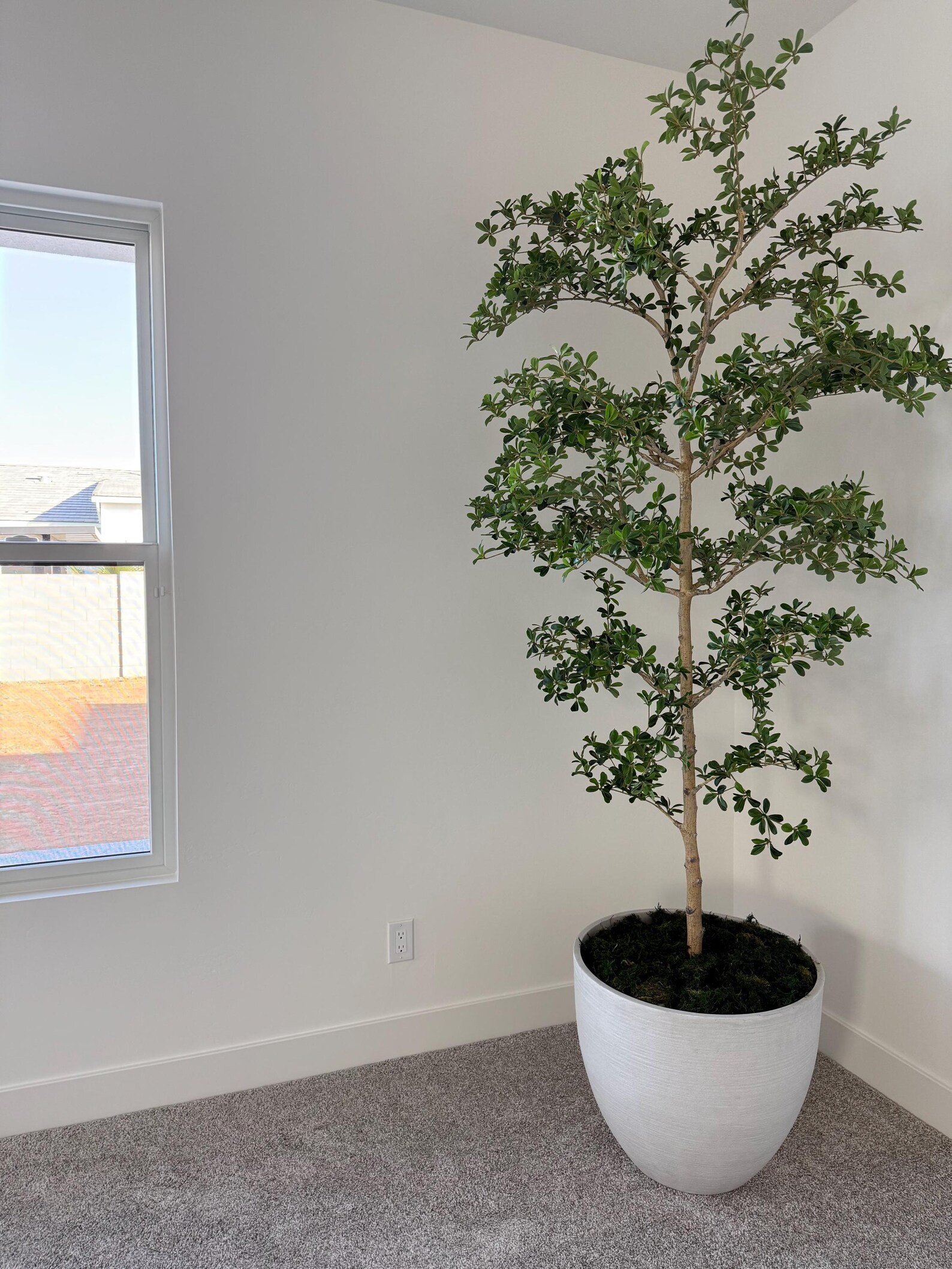 Faux Shady Lady Tree- 8' - Etsy