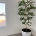 Faux Shady Lady Tree- 8' - Etsy
