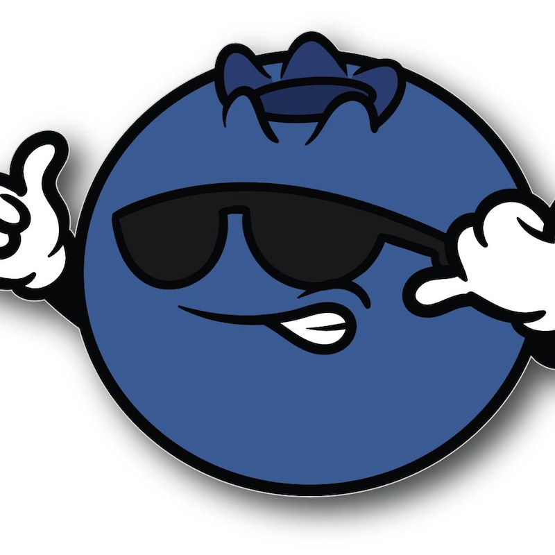 Blueberry Decal for Car - Etsy