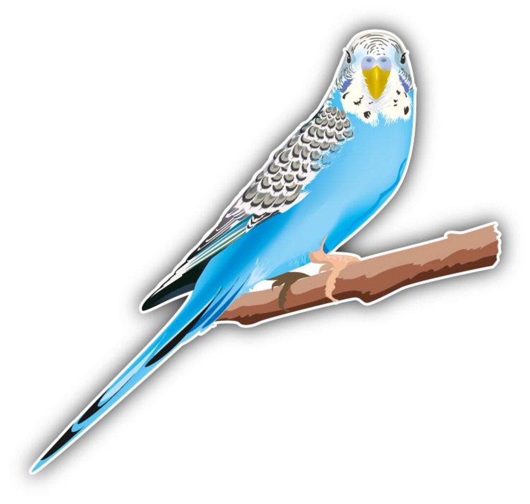 Budgie Car Bumper Sticker Vinyl Decal - Etsy