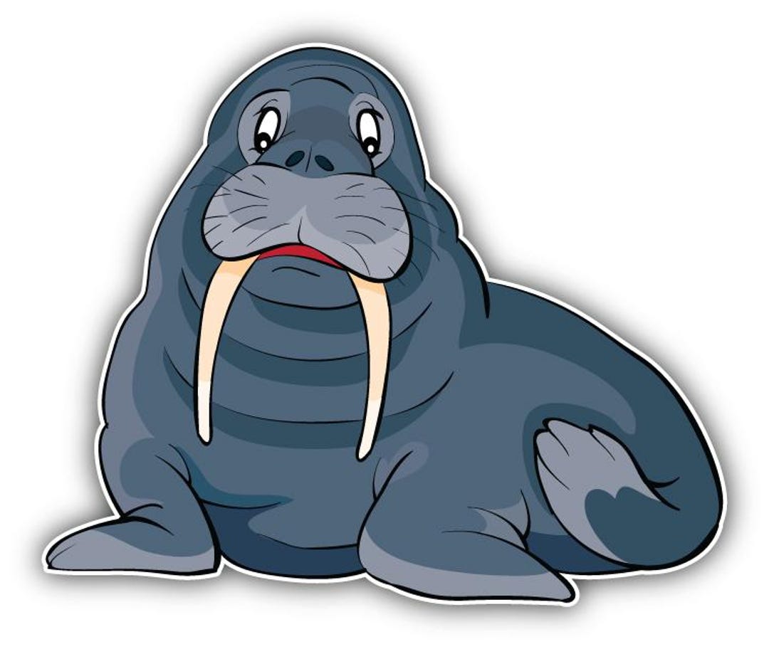 Funny Walrus Car Vinyl Bumper Sticker Decal - Etsy