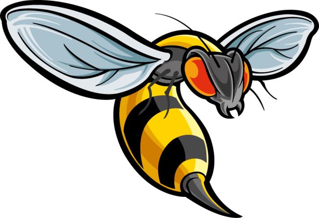Angry Wasp Insect Vinyl Sticker Car Bumper Decal - Etsy