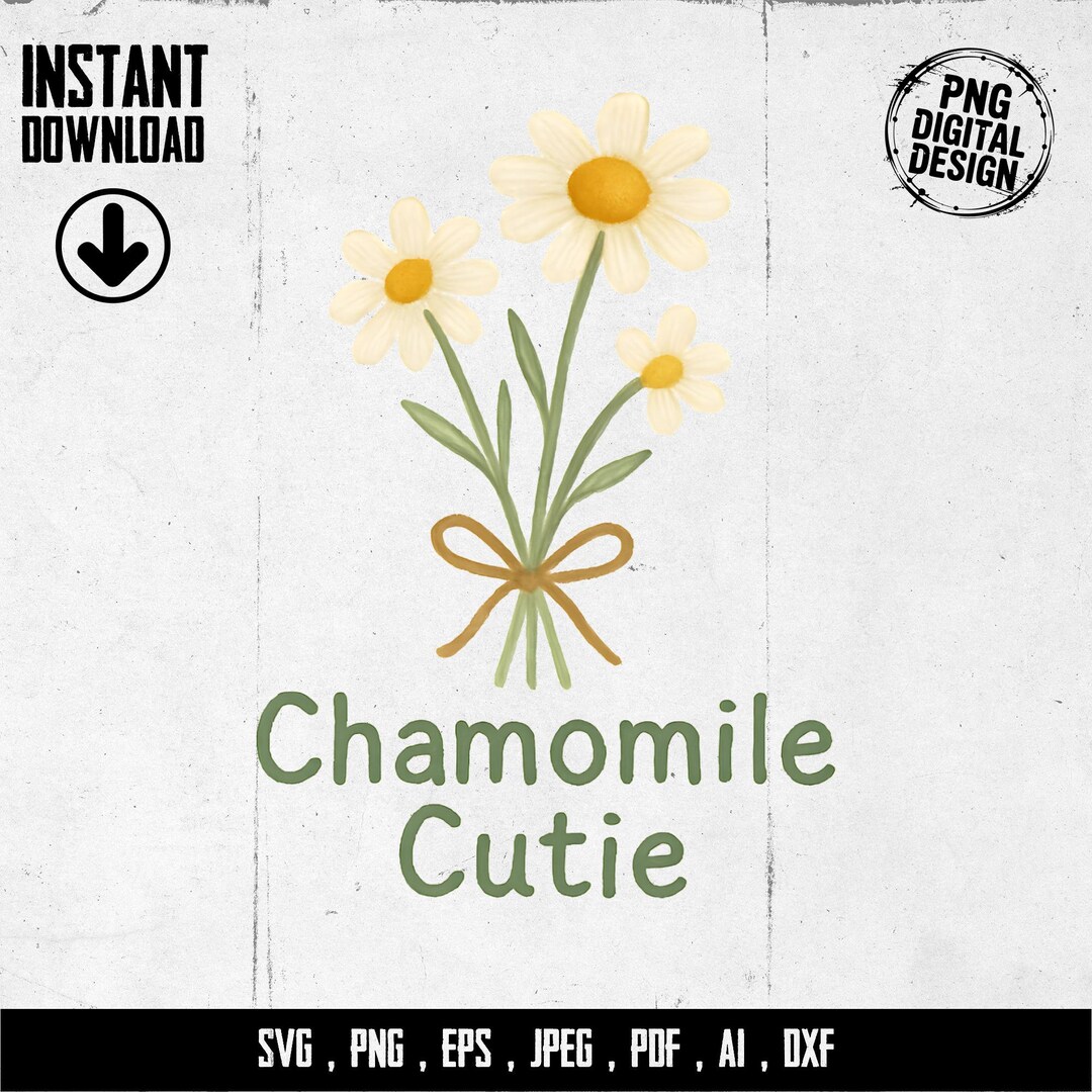 Chamomile Daisy Clipart: Floral SVG PNG Digital Download - Etsy
