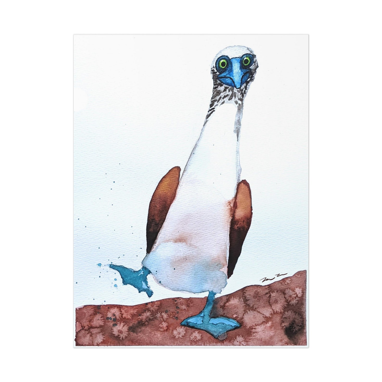Blue-footed Booby Watercolor Art Print – Quirky Bird Lover Gift, Ocean ...