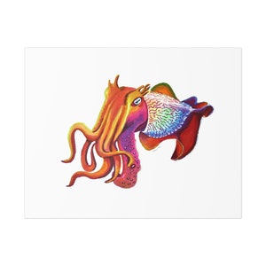 Digital Download Cuttlefish Art | Sea Creatures Collection - Etsy