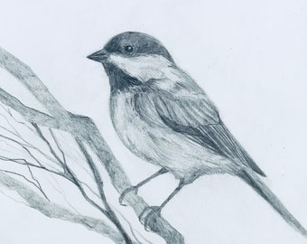 Chickadee drawing | Etsy