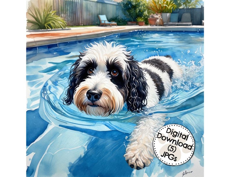 Swim Doodle Digital Download Clipart Bundle, 5 High Quality Jpgs ...