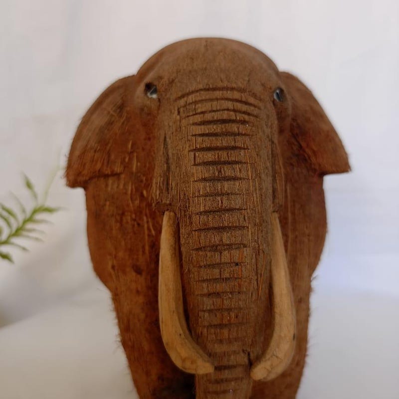 Cocofanto Elefante Ritual - Etsy Canada