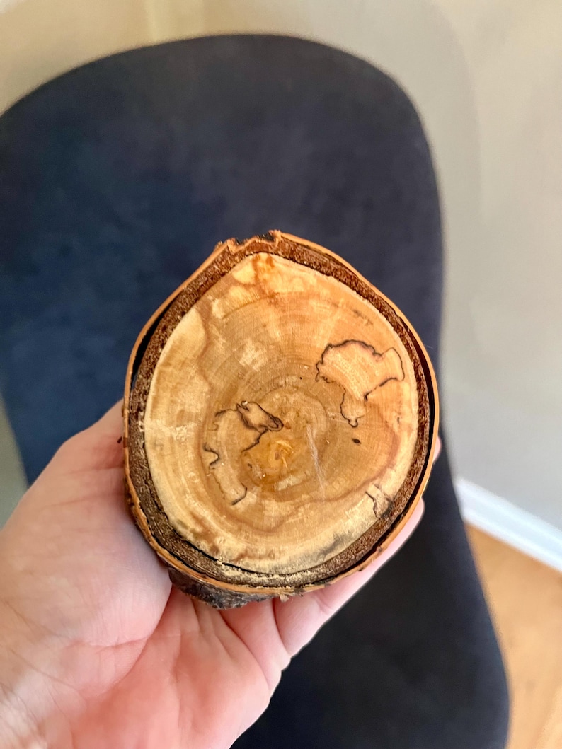 7" Hand-turned Birch Wood Christmas Tree: Live Edge Base Holiday ...