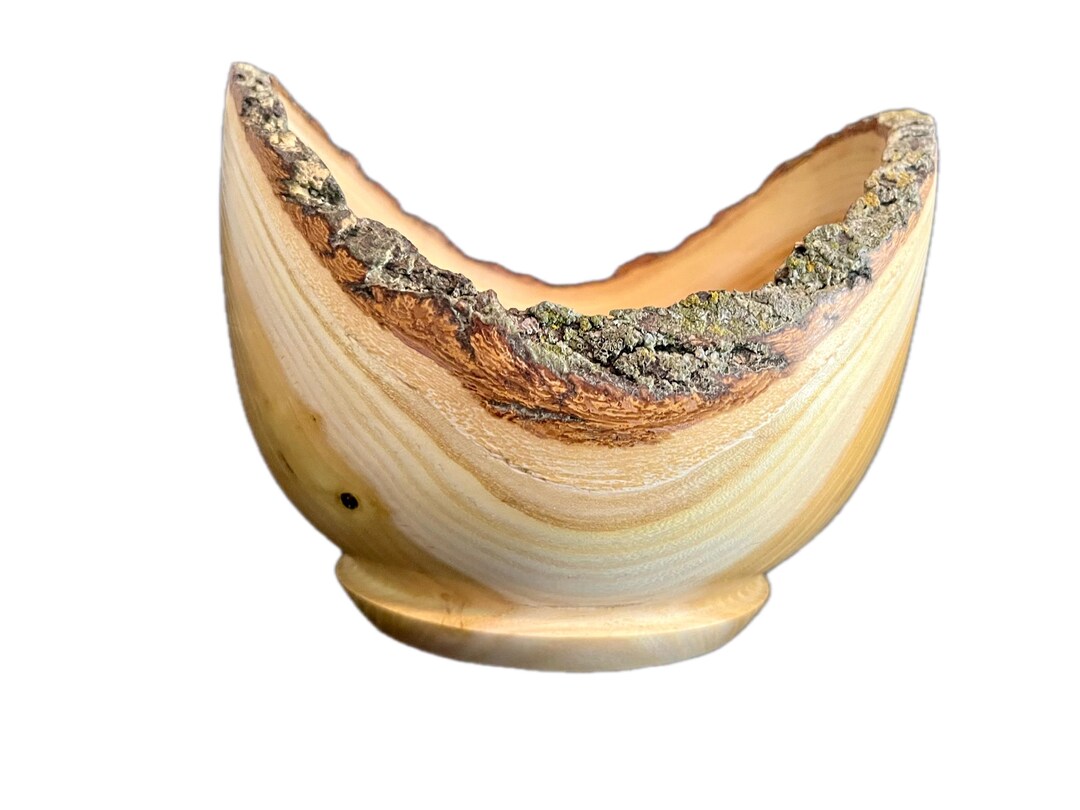 7" Live Edge Bradford Pear Vessel: Tall Natural Bark Rim 5th ...