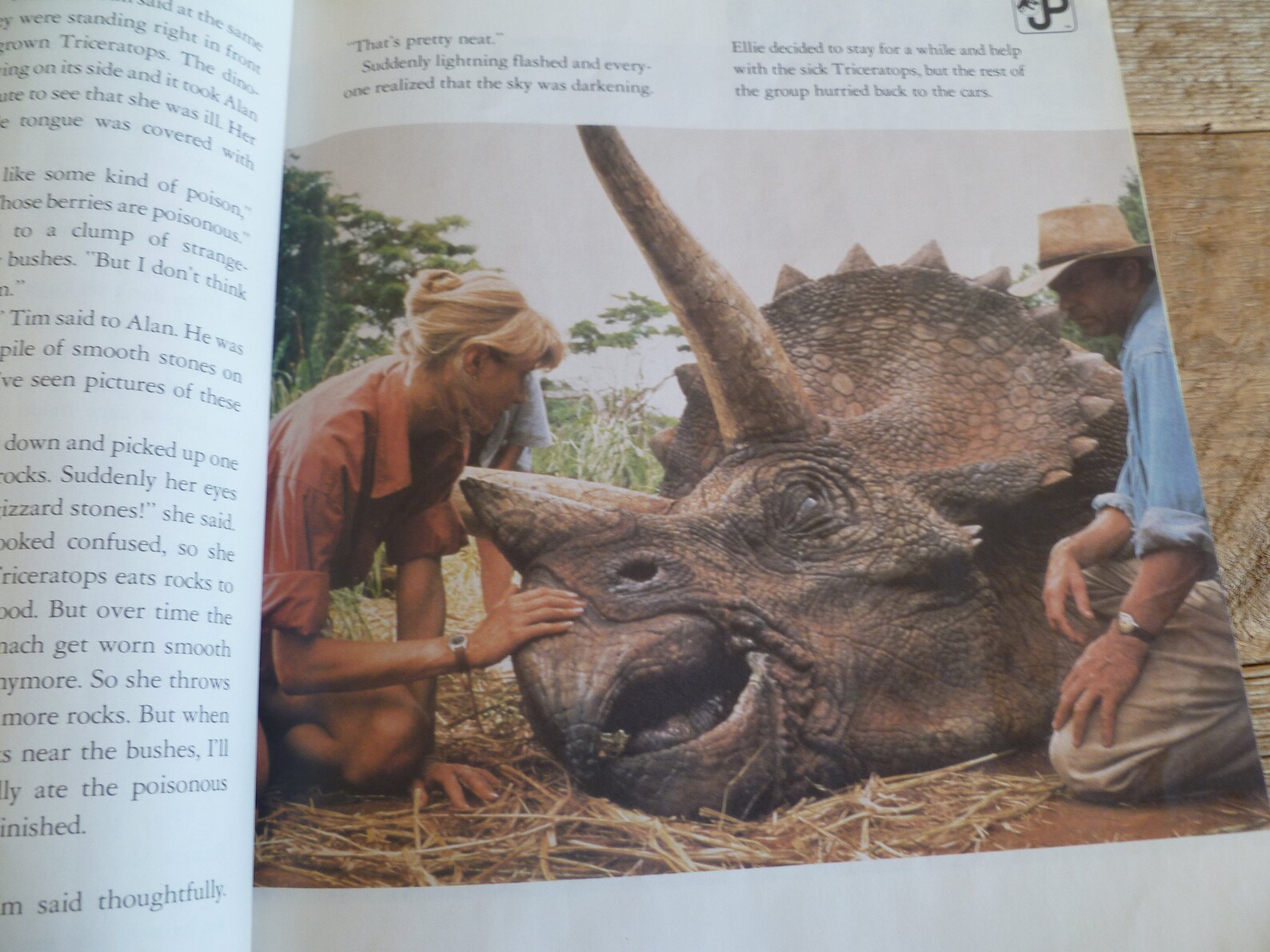 Vintage Jurassic Park the Movie Story Book Dinosaur Book 1993 | Etsy