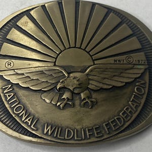 1972 Award Design Solid Brass Belt Buckle "national Wildlife Federation ...
