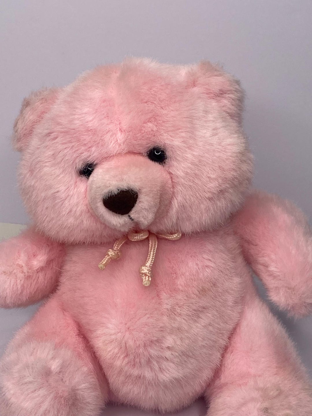 Bright Future J. C. Penny Pink Plush Rattle Teddy Bear 12" Tall Stuffed ...
