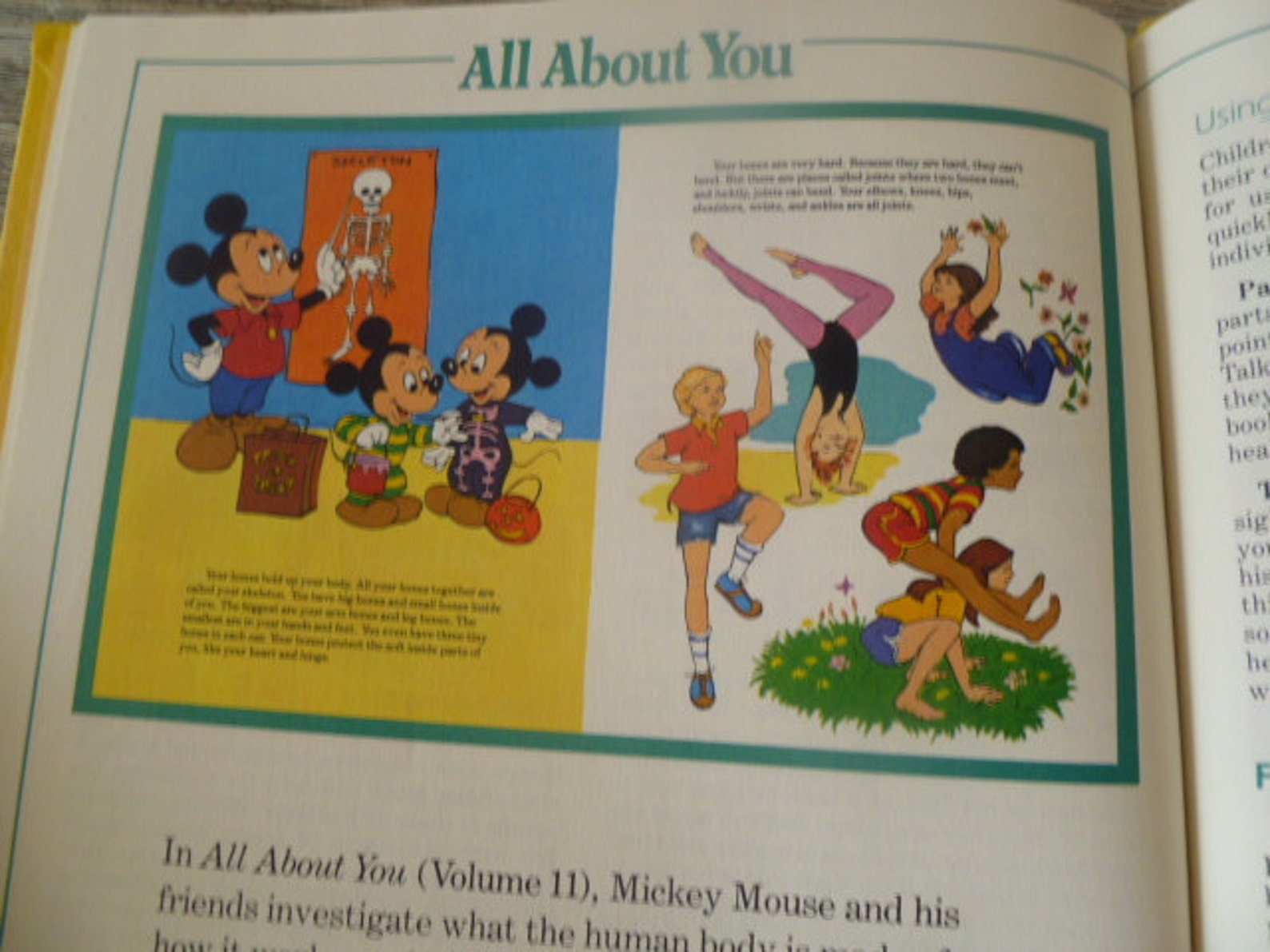 Disneys Fun to Learn Hardback Mickey Mouse Book Volume 19 - Etsy