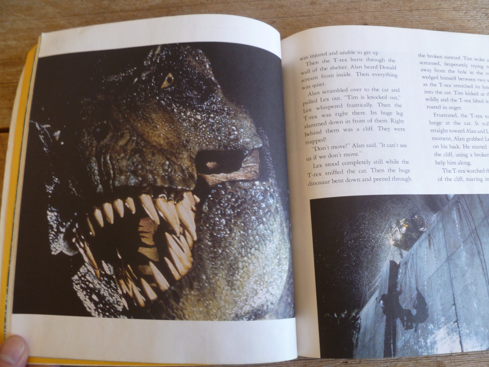 Vintage Jurassic Park the Movie Story Book Dinosaur Book 1993 | Etsy