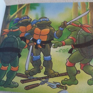 Ninja Turtles Boo "the Final Lesson " Vintage Collectable TMNT - Etsy