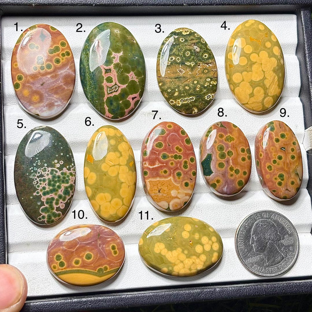 Natural Ocean Jasper Cabochons: Flat Back Loose Gemstone for Jewelry ...