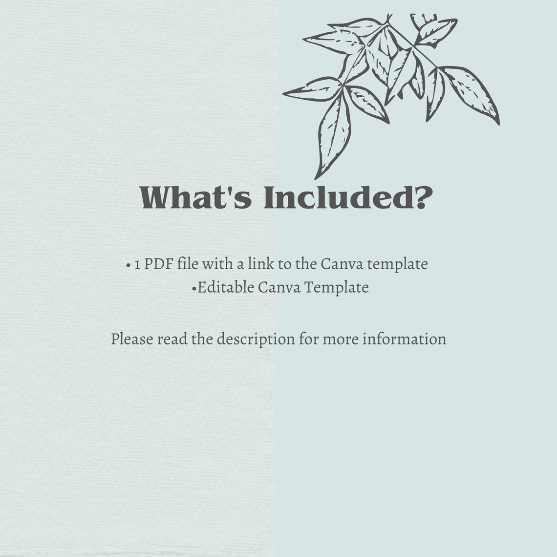 Back to School Mini Session Template: Photography Marketing (canva ...