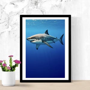Shark Wall Art – Great White Shark Poster, Ocean Wildlife Print, Marine ...