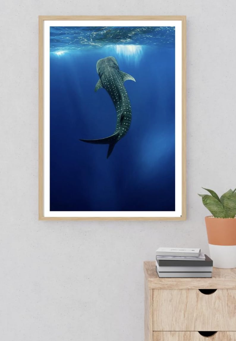Whale Shark Poster | Marine Ocean Poster | Underwater Wall Decor ...