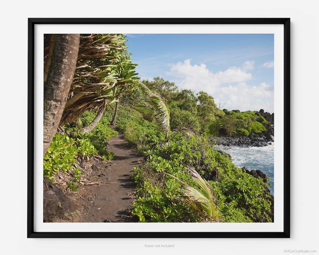 Piilani Hiking Trail (ke Ala Loa O Maui), at Waiʻānapanapa State Park ...