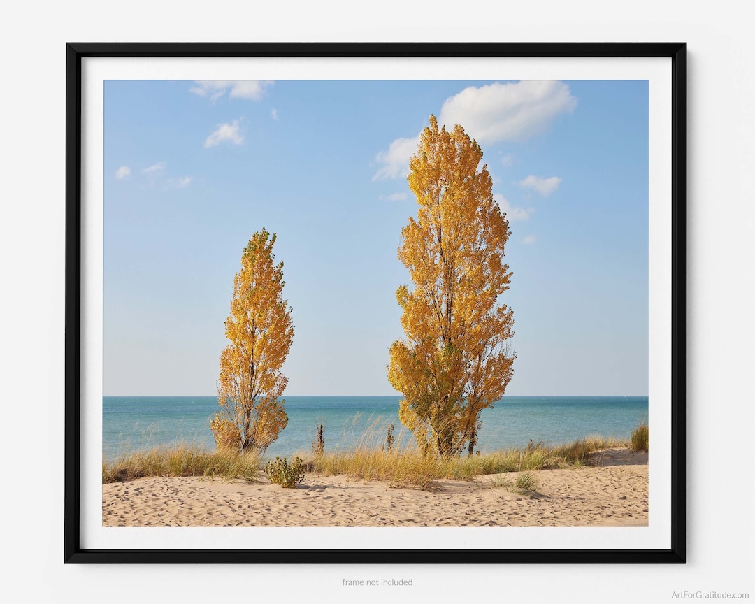 Fall at Oval Beach in Saugatuck Michigan, Fine Art Photography Print ...