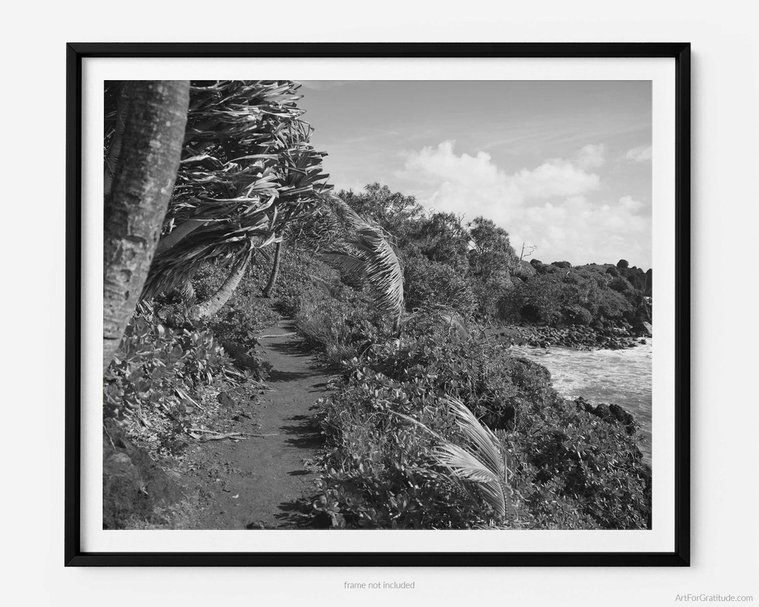 Piilani Hiking Trail (ke Ala Loa O Maui), at Waiʻānapanapa State Park ...