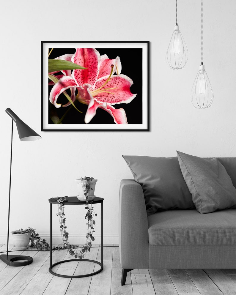 Flower Photography Print of Pink Lily, Floral Photography Print ...