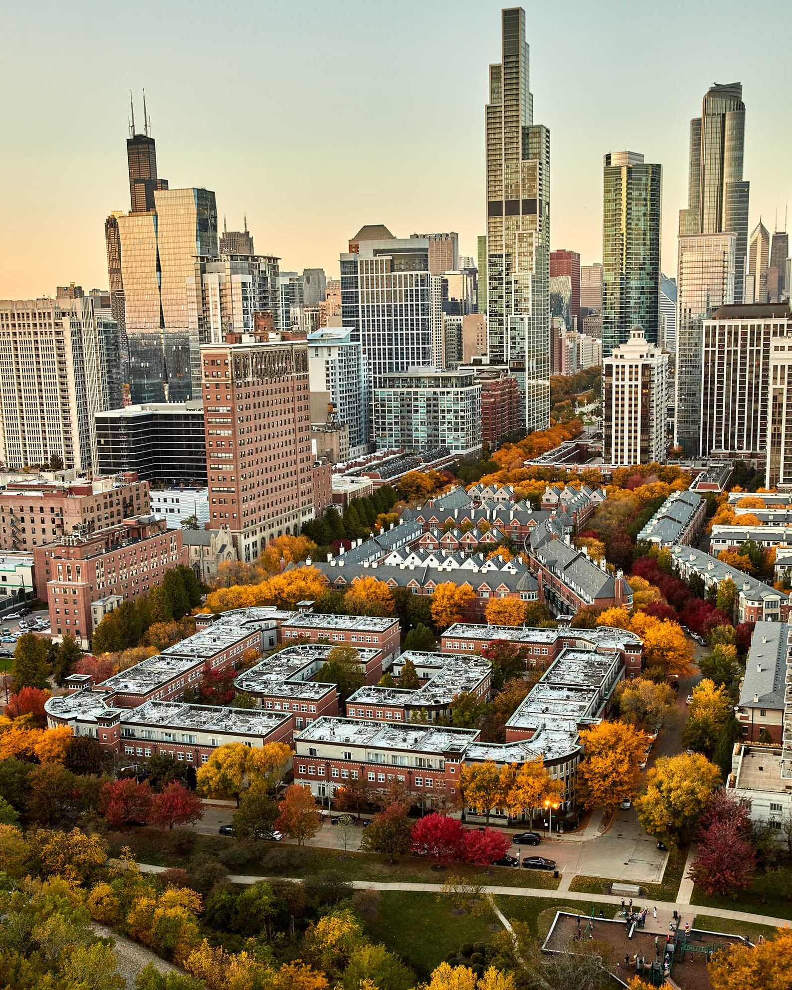 Chicago South Loop Photography Print, Chicago Photography, Fall Leaves ...