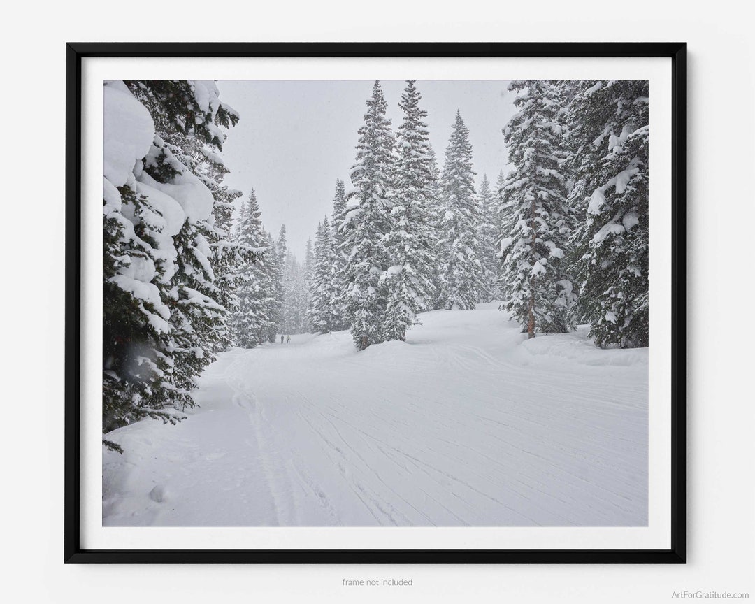 Timberline Catwalk Trail at Vail Ski Resort, A Vail Colorado Fine Art ...