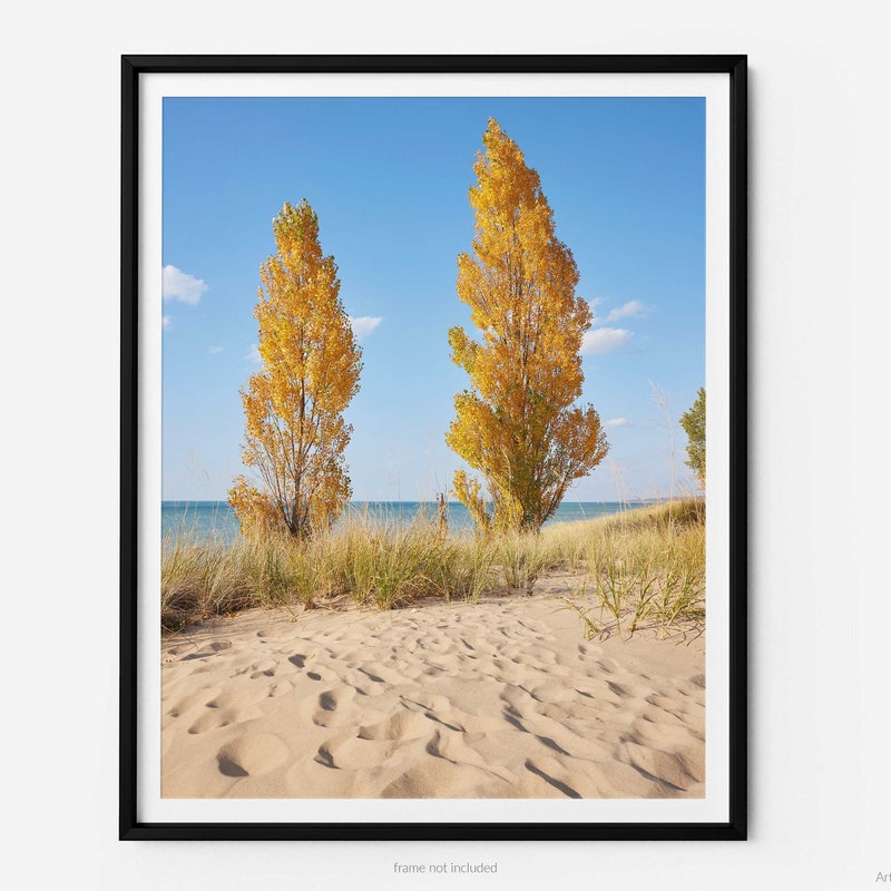 Oval Beach Art - Etsy