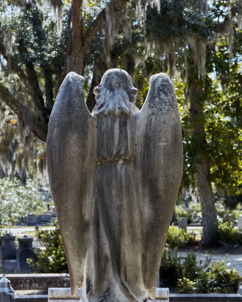 Savannah Georgia Photography Print of Angel With Wings, Bonaventure ...