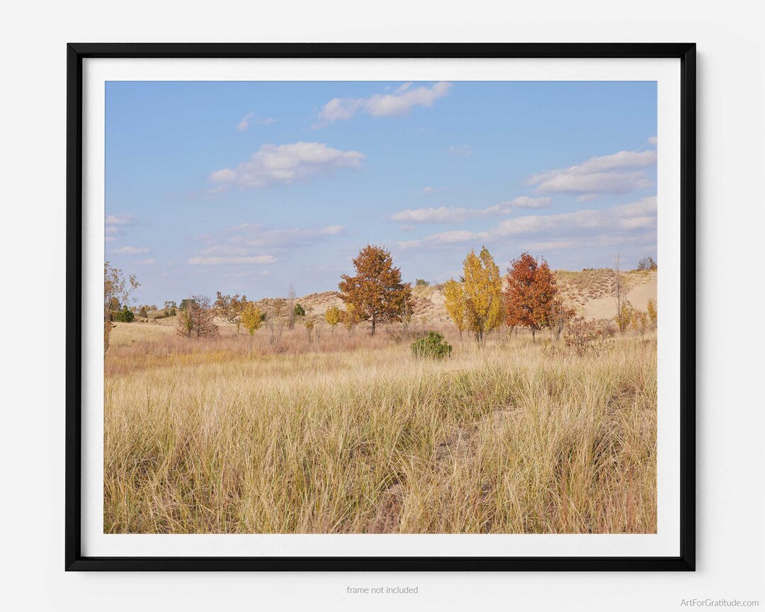 Oval Beach & Mount Baldhead Trail in Fall, Saugatuck Michigan, Fine Art ...