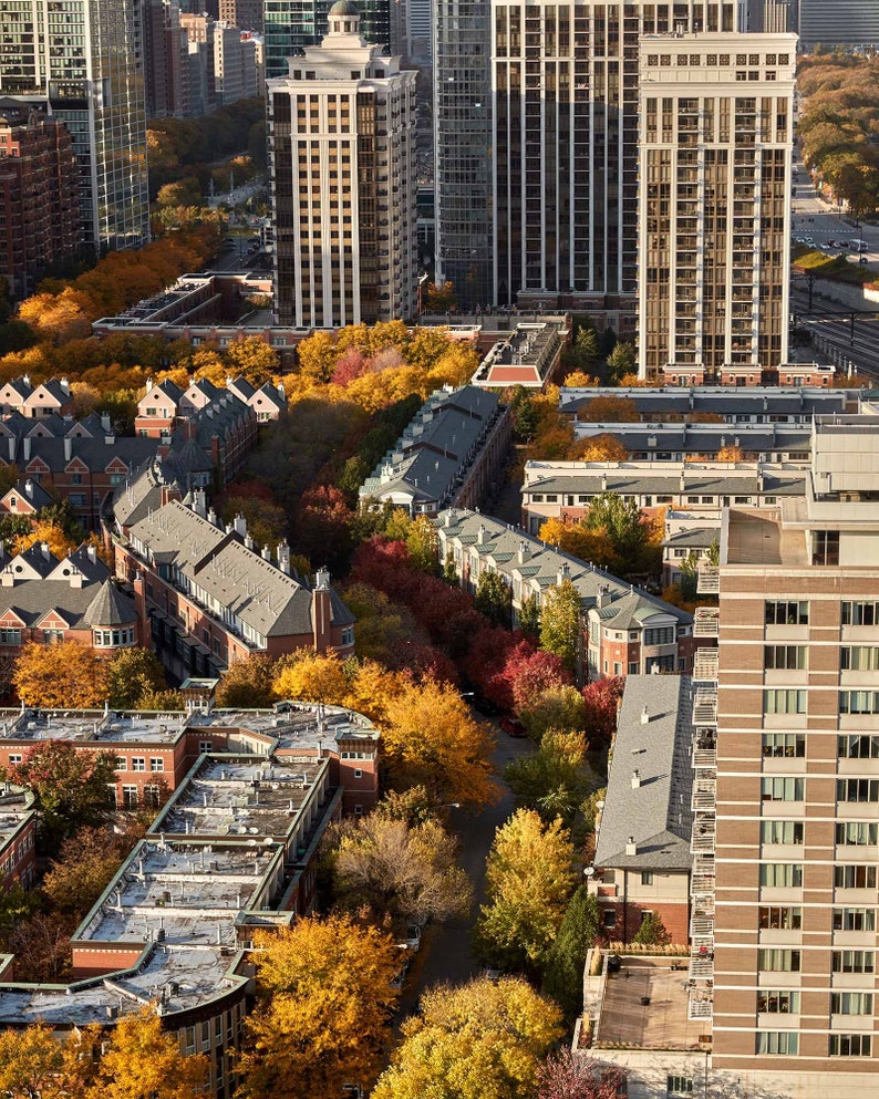 Chicago South Loop Photography Print, Chicago Photography, Fall Leaves ...