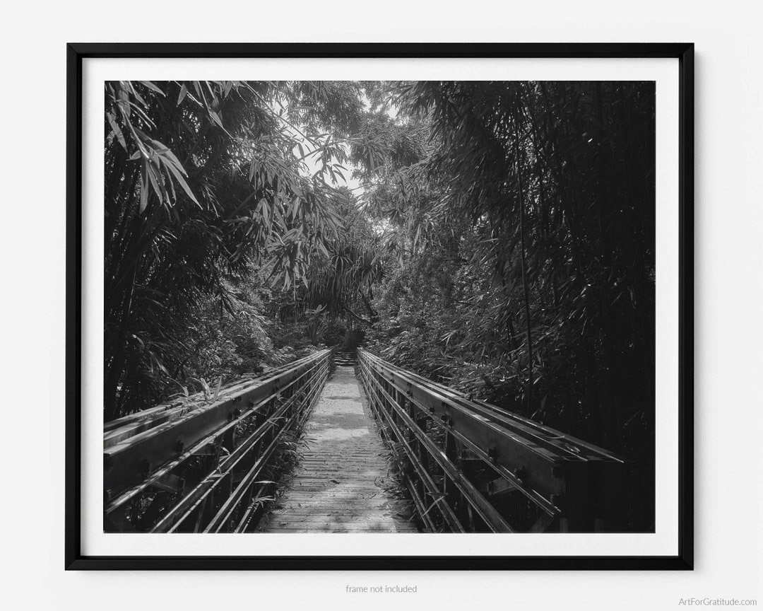 Bridge at Palikea Stream Crossing, on the Pipiwai Trail, A Maui Hawaii ...