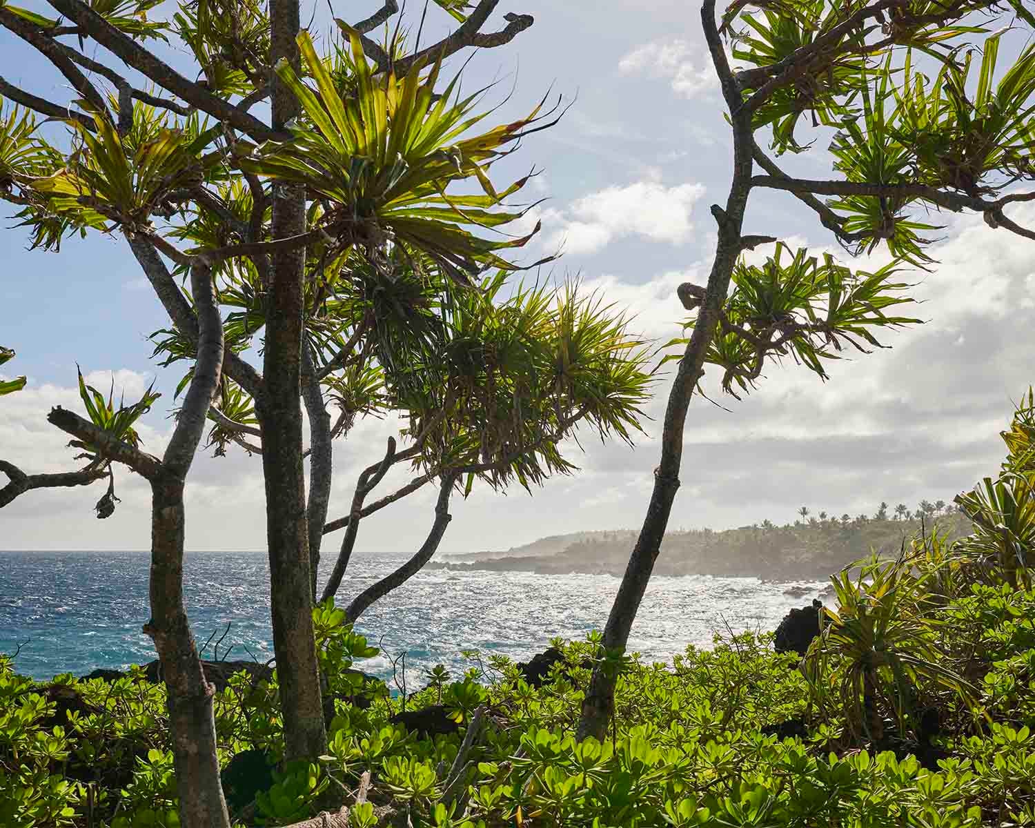 Piilani Hiking Trail (ke Ala Loa O Maui), at Waiʻānapanapa State Park ...