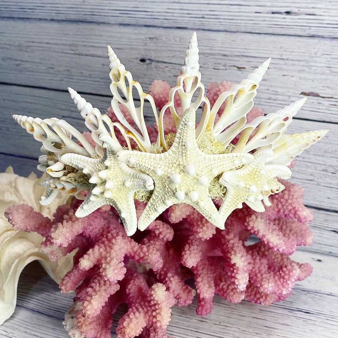 Starfish Headband + Seashell Crown + Mermaid Headpiece + Beach Wedding ...