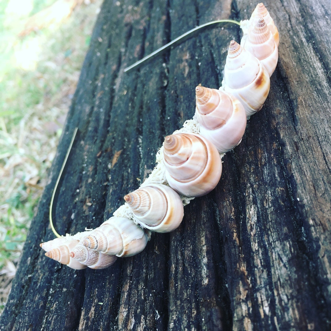 Seashell Crown Shell Tiara, Mermaid Tiara, Bridal Headpiece, Beach ...