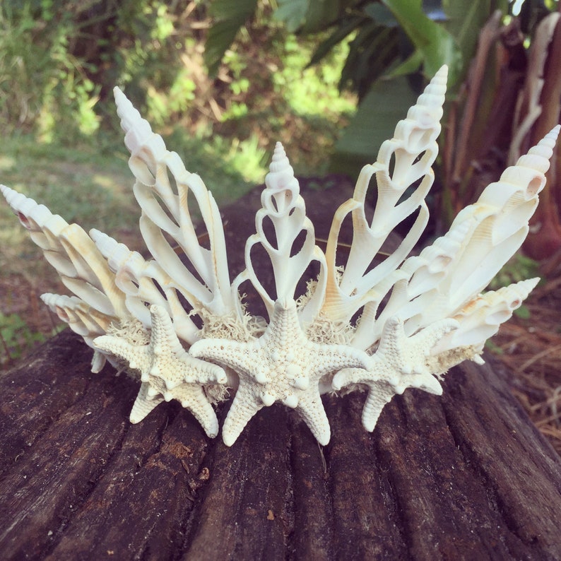 Starfish Headband Seashell Crown Mermaid Headpiece Beach | Etsy