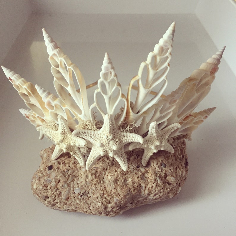 Starfish Headband + Seashell Crown + Mermaid Headpiece + Beach Wedding ...