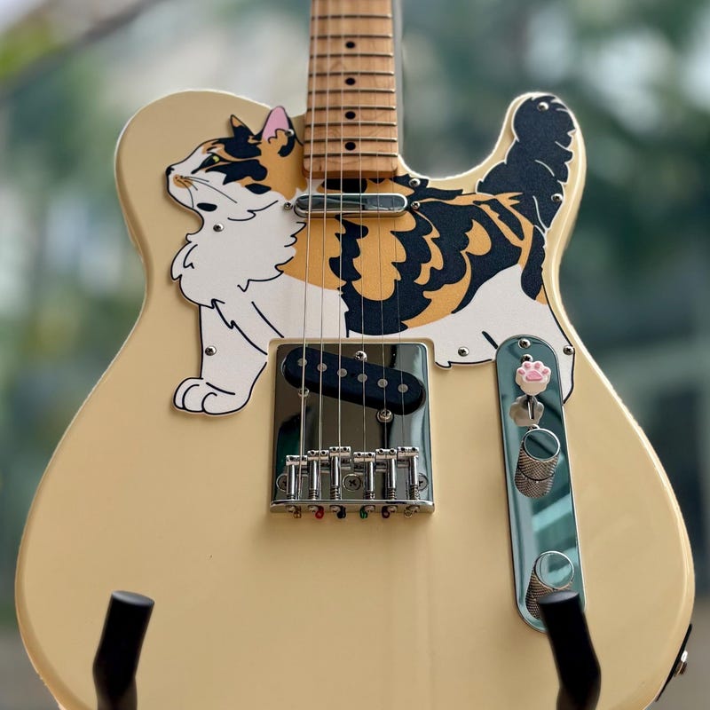 Fender Pickguard Painted - Etsy UK