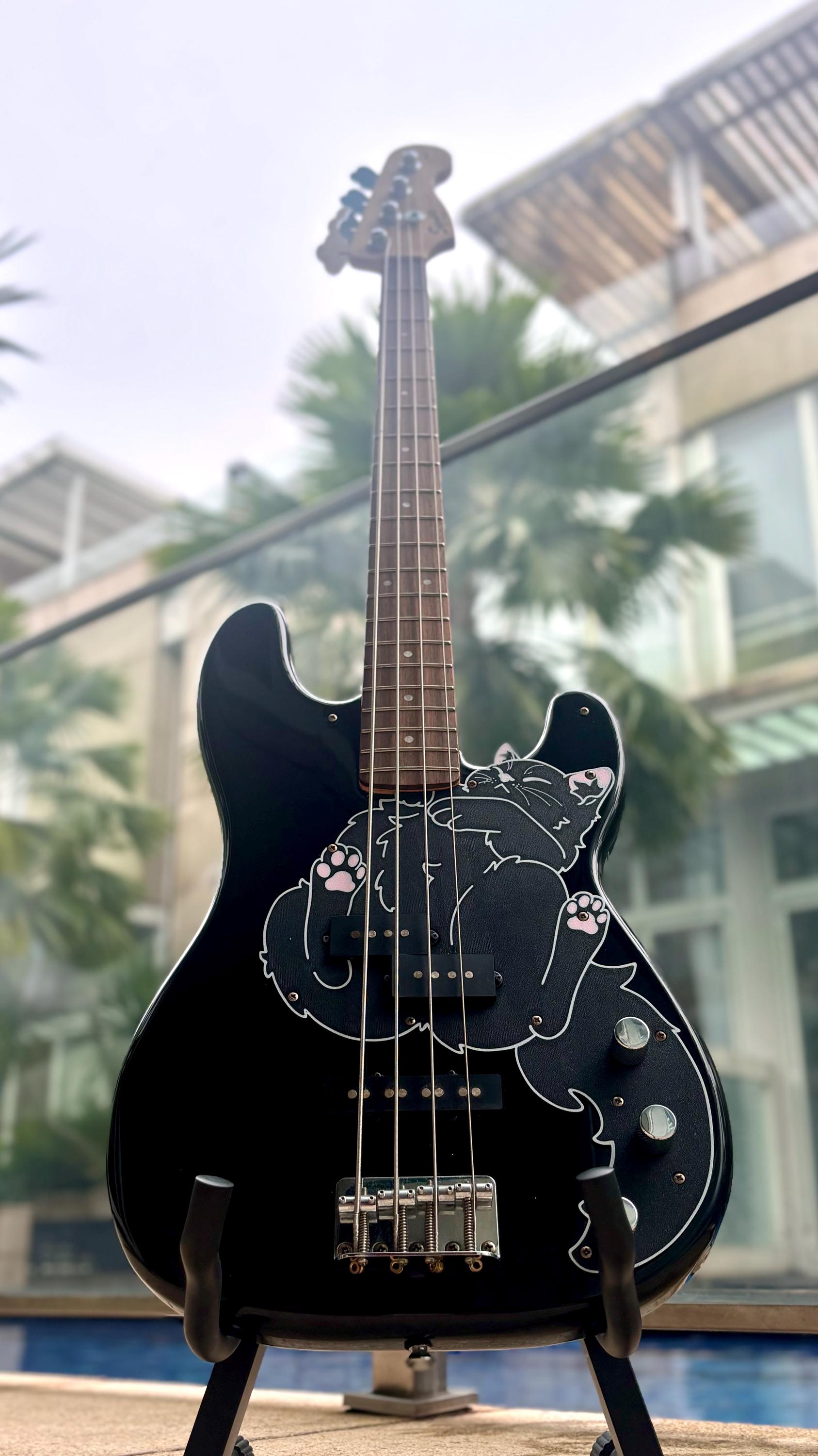 Precision P Bass Cat Pickguard, Purr-cision Bass - Etsy