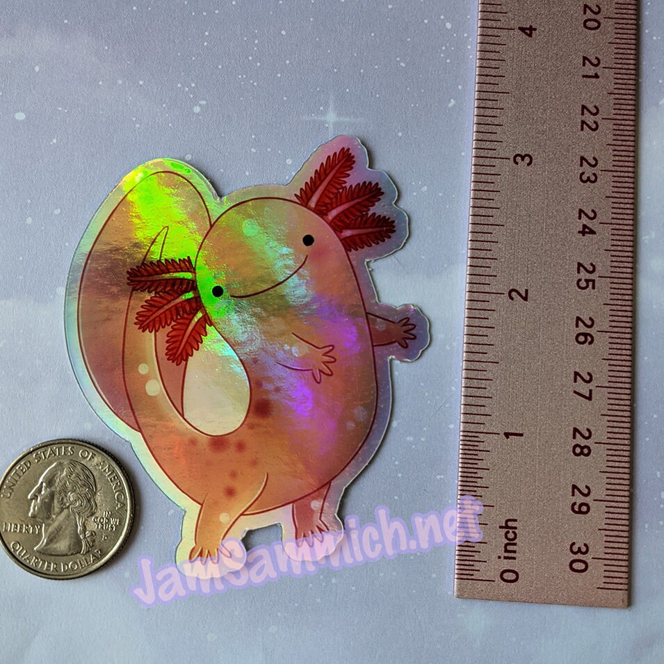 Axolotl Holographic Vinyl Sticker - Etsy