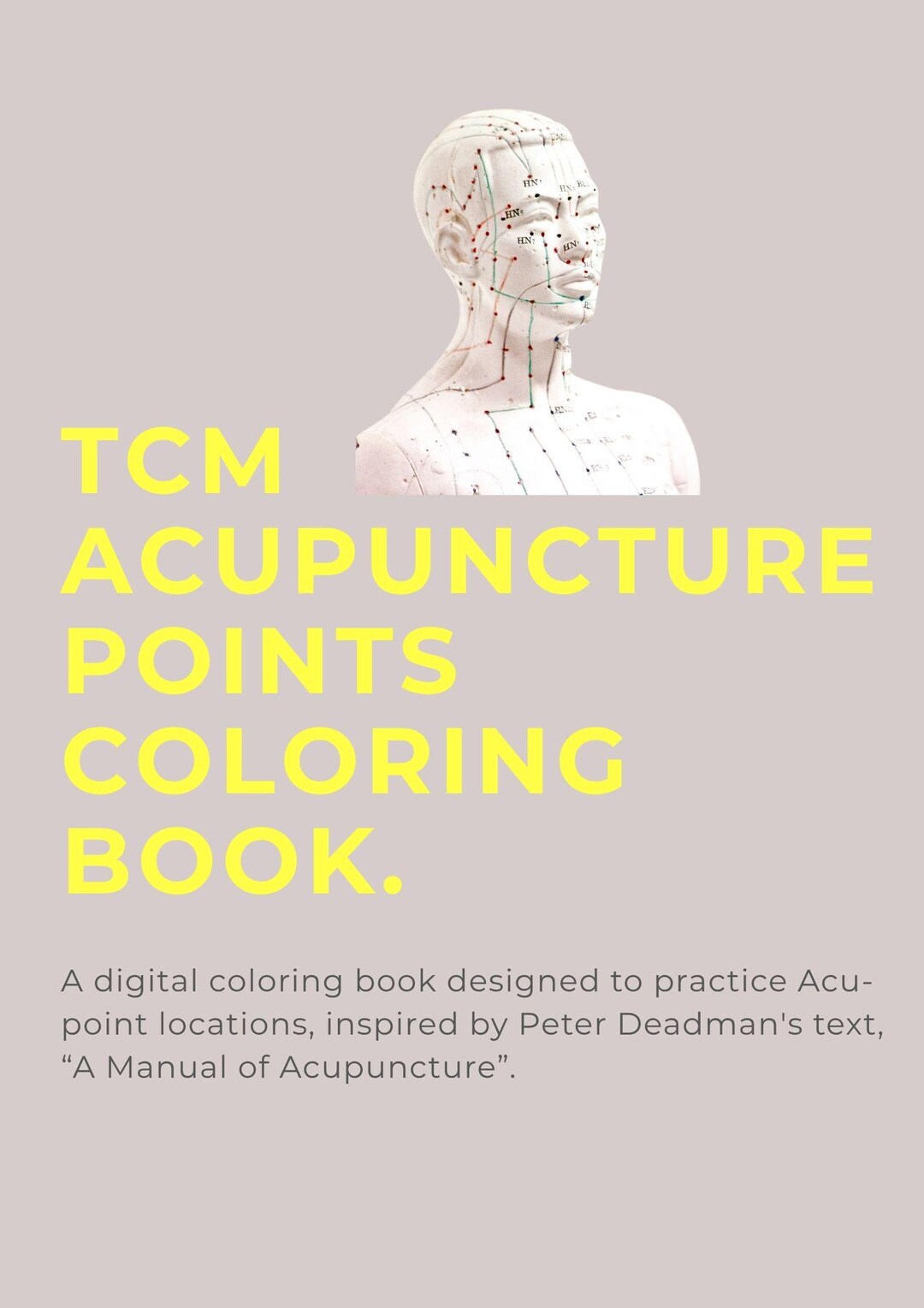 TCM- Acupuncture Points Location Coloring Book. Based off of Peter ...