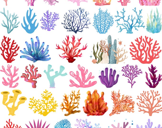 Ocean Plants Svg, Aquarium Plants Svg, Coral Svg, Seaweed Svg, Ocean ...
